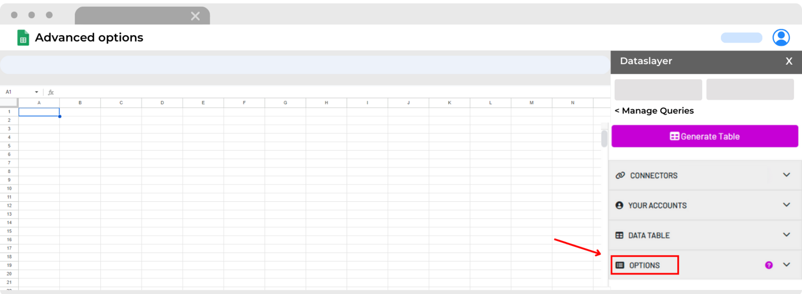 Dataslayer.ai advanced options